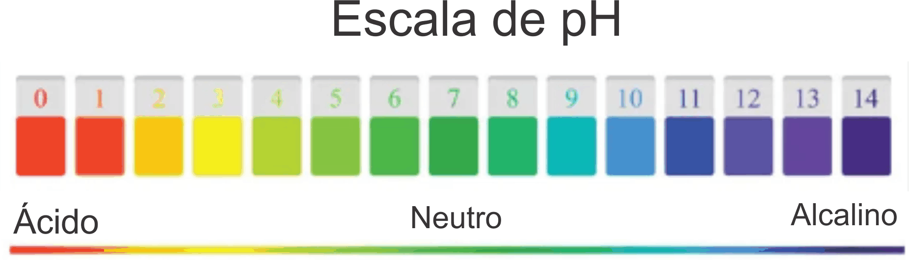 Importancia de conocer el ph de agua potable - Lucky Clean