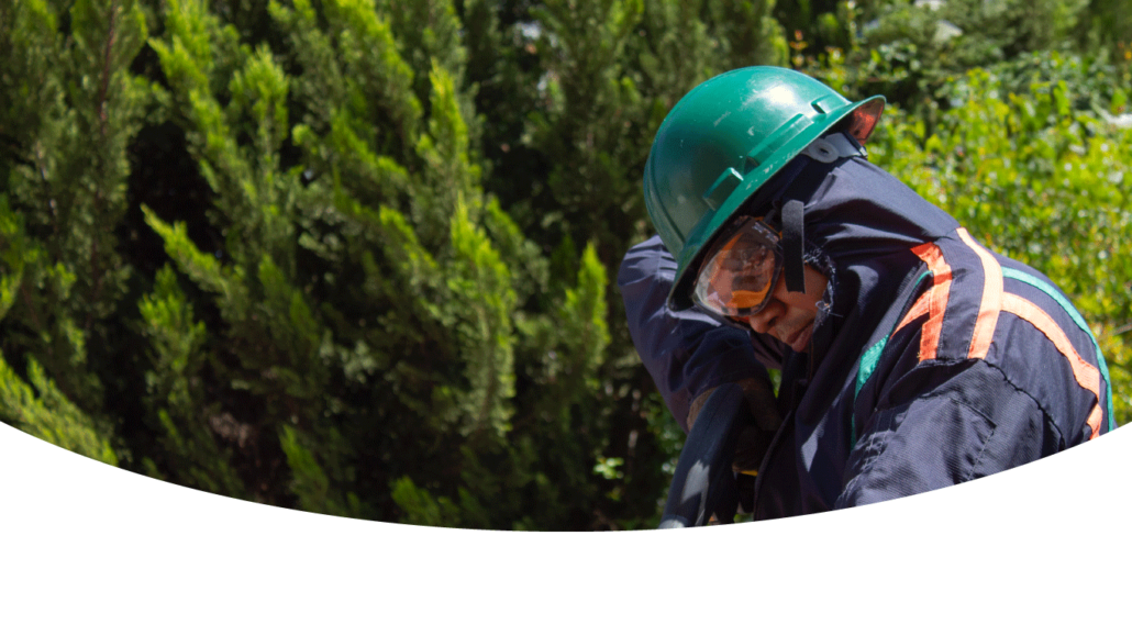 Quiénes somos - Lucky Clean